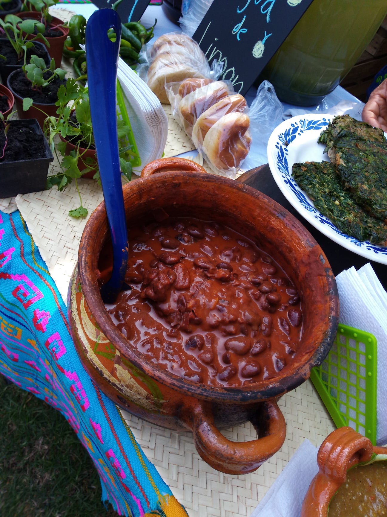 La cocina tradicional lacustre de Tláhuac en un recetario – Revista ...