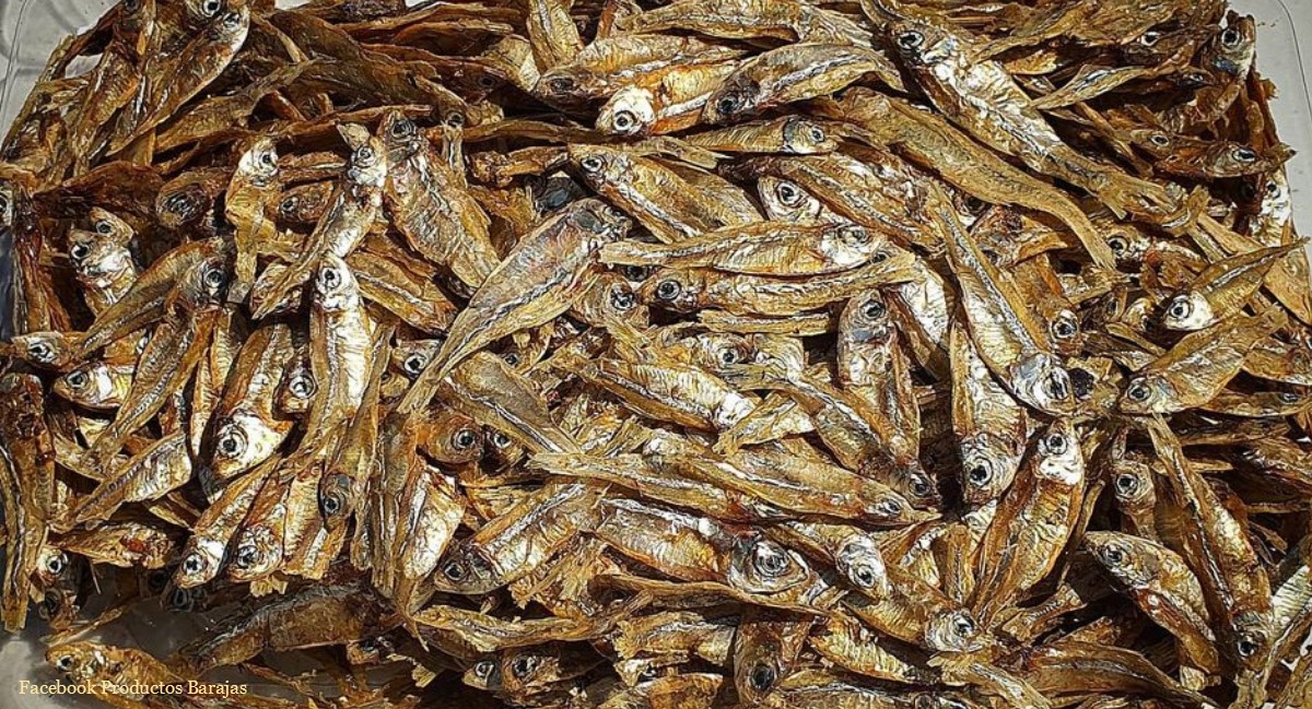 El charal, especie mexicana, exquisito platillo de nuestra cocina ...