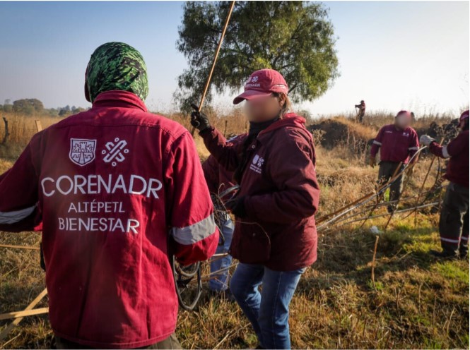 Recupera Gobierno de CdMx 26 ha de Suelo de Conservación en Xochimilco ...