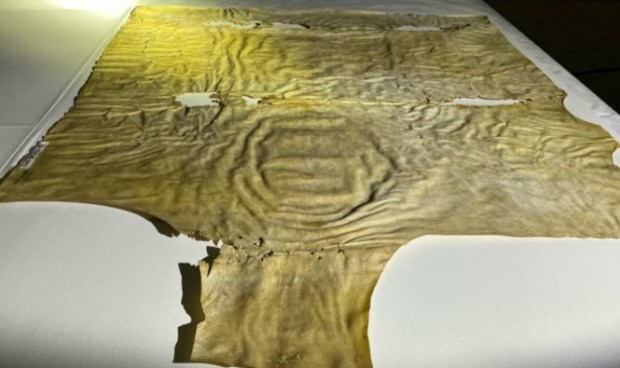 Analizarán el Mapa de Popotla a nivel microscópico por primera vez ...